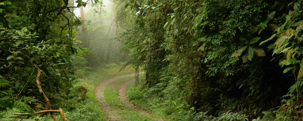 Conheça 4 trilhas incríveis no Estado de São Paulo - Visite São Paulo